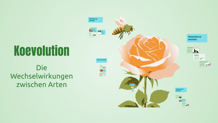 Koevolution by Maxi Don on Prezi