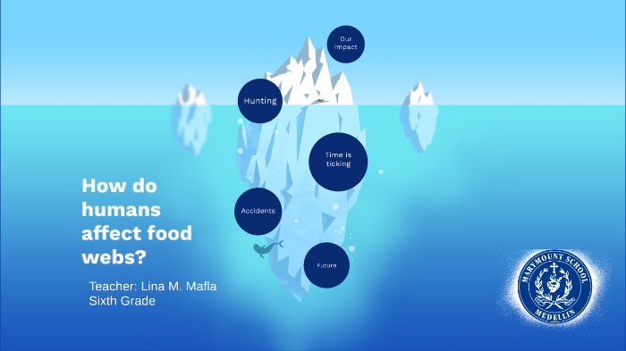 Human Impact on Food Webs by Lina Mafla on Prezi