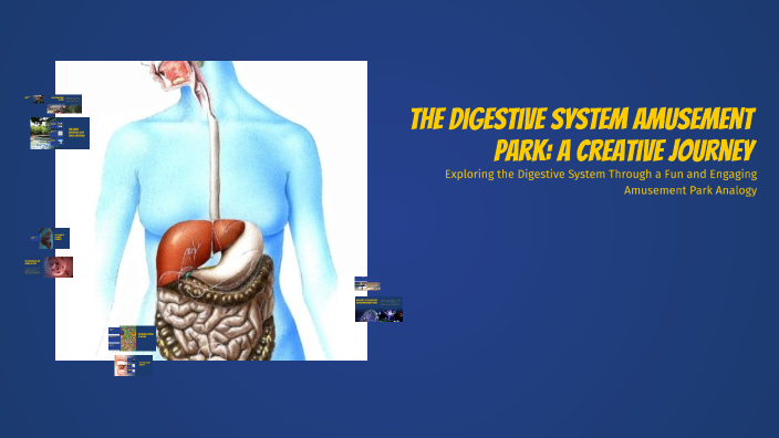 The Digestive System Amusement Park: A Creative Journey by zac timmons ...