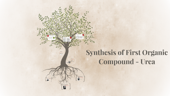Urea - Synthesis of Organic Compound by Manisha Venkat on Prezi