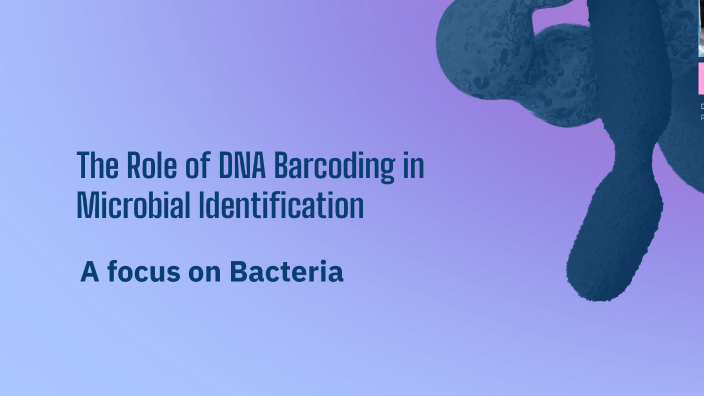 The Impact of DNA Barcoding on Bacterial Identification by mohamed ...