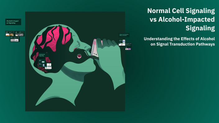 Normal Cell Signaling vs Alcohol-Impacted Signaling by Kyrot Kid on Prezi