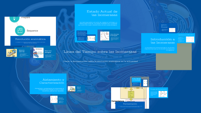 Línea del Tiempo sobre las Isomerasas by Karleomar Sampson on Prezi