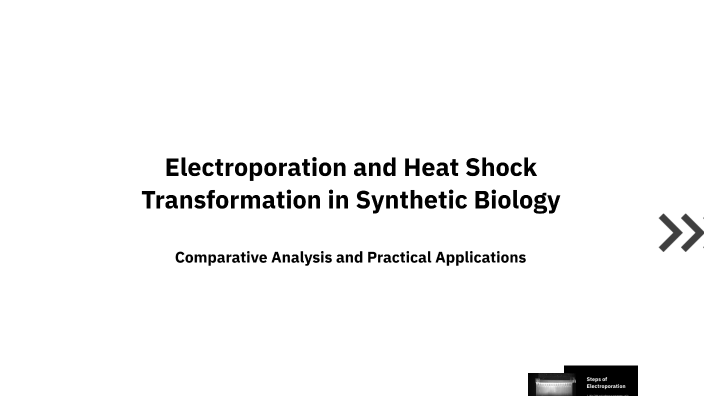 Electroporation and Heat Shock Transformation in Synthetic Biology by ...