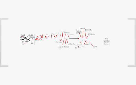 Song of Solomon Family Tree Timeline by Joe Comer on Prezi