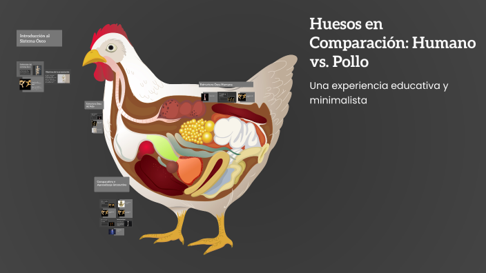 Huesos en Comparación: Humano vs. Pollo by Doryan fv on Prezi