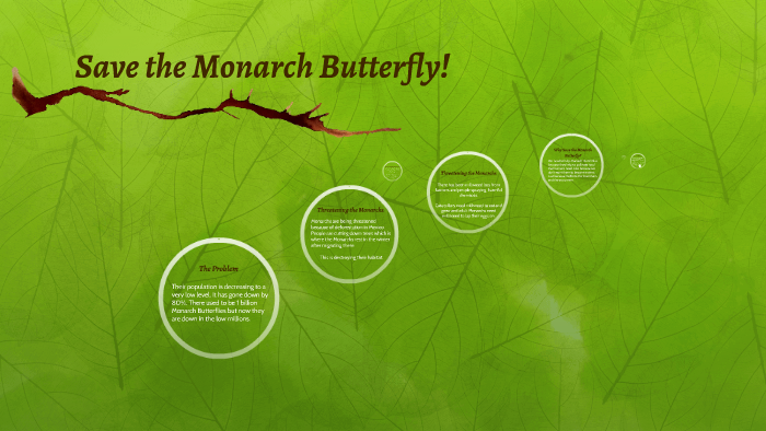 Save the Monarch Butterfly! by Elizabeth Hoskinson on Prezi