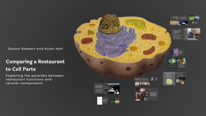 Comparing a Restaurant to Cell Parts by Jaxson Stewart on Prezi
