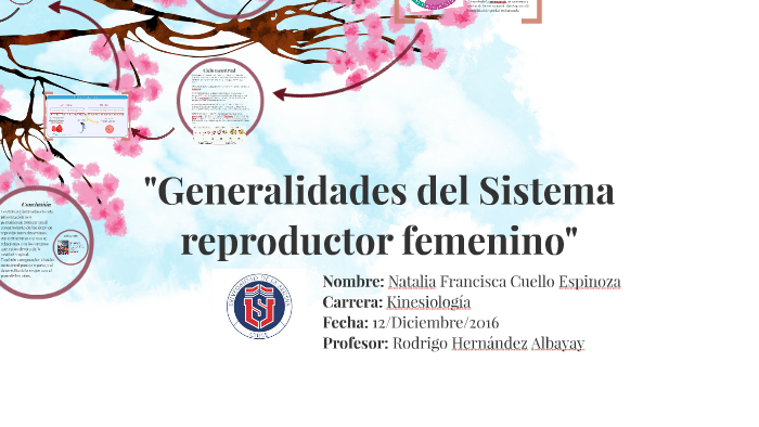 Generalidades de Sistema reproductor femenino by Natalia Francisca ...