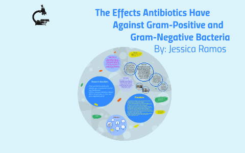 The Effects Antibiotics Have Against Gram-Positive and Gram- by Jessica ...