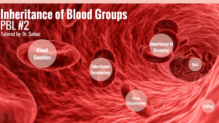 Inheritance of Blood Groups by Abdullah Shaban on Prezi