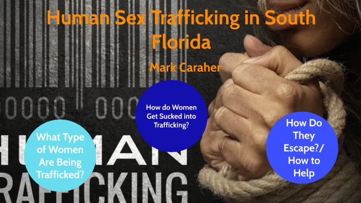 Human Sex Trafficking in South Florida by Mark Caraher on Prezi