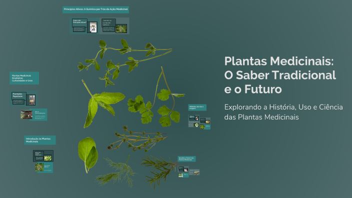 Plantas Medicinais: O Saber Tradicional e o Futuro by Brunoxllx on Prezi