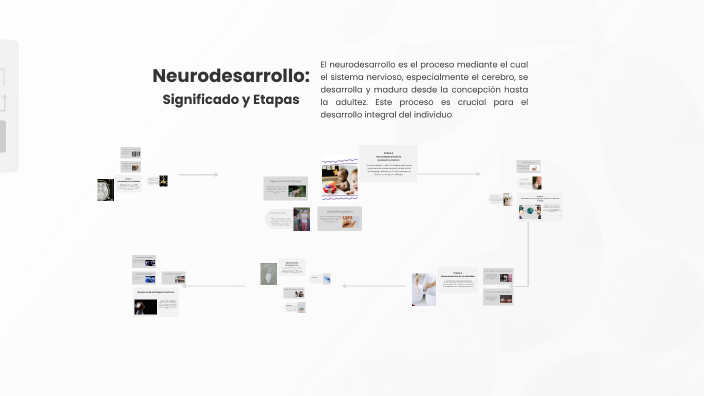 Neurodesarrollo: Significado y Etapas by Victoria Guerrero on Prezi