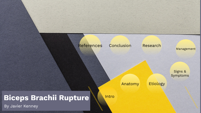 Bicep Brachii Tear by Javier Kenney on Prezi