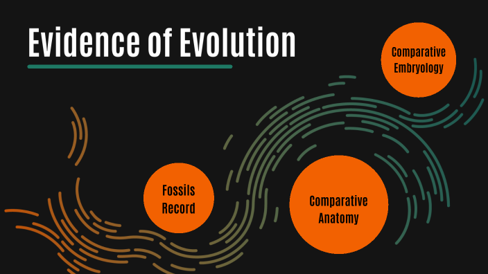Evidence Of Evolution by (Student) Dominique Ballinger on Prezi