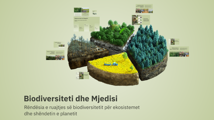 Biodiversiteti dhe Mjedisi by euel sopjani on Prezi