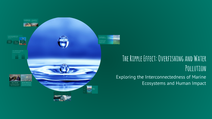 The Ripple Effect: Overfishing and Water Pollution by zia mohammed on Prezi