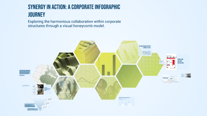 Synergy in Action: A Corporate Infographic Journey by Ludmila Lopez on ...