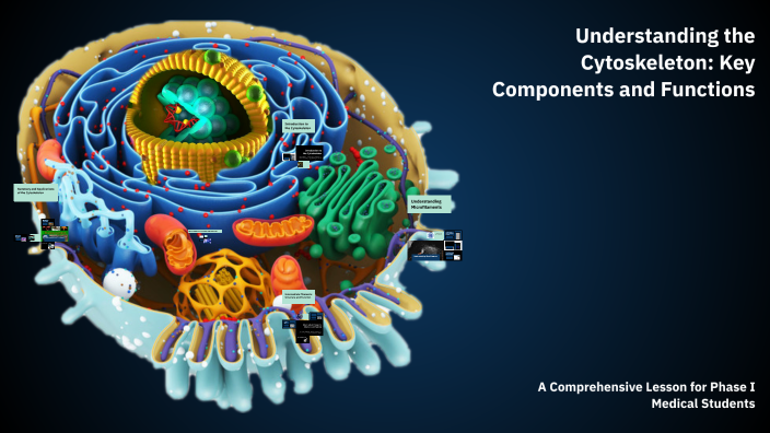 Understanding the Cytoskeleton: Key Components and Functions by Atakan Tevlek on Prezi