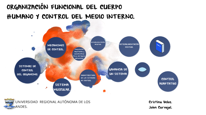 SISTEMAS DE CONTROL DEL ORGANISMO. by John Carvajal on Prezi