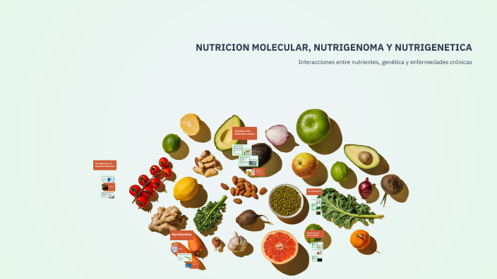 NUTRICION MOLECULAR, NUTRIGENOMA Y NUTRIGENETICA by Judith Gonzalez on Prezi