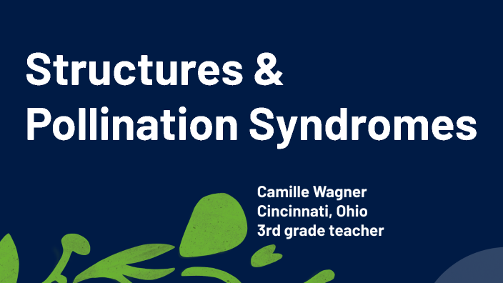 Structures & Pollination Syndromes at Krohn Conservatory by Camille ...