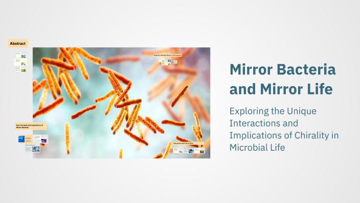 Mirror Bacteria and Mirror Life by Ayaan Shareef Ahammad on Prezi