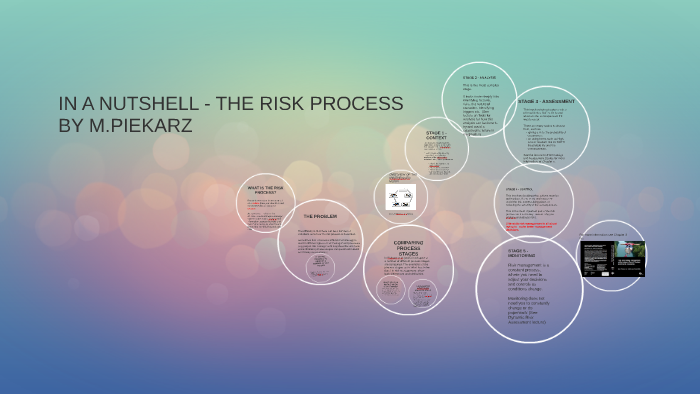 IN A NUTSHELL - THE RISK PROCESS by Mark Piekarz on Prezi