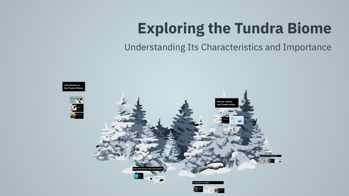Exploring the Tundra Biome by Robert ricker on Prezi