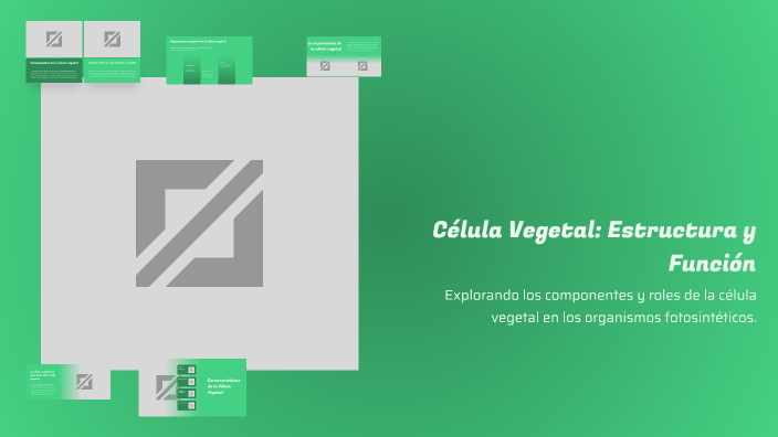 Célula Vegetal: Estructura y Función by Yohan Fuenzalida on Prezi