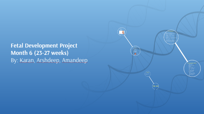 Fetal Development Project by Aman Nijjar on Prezi