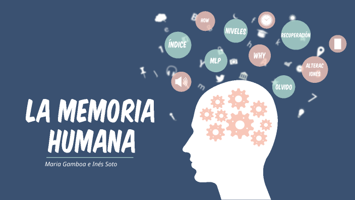 La Memoria Humana By Ines Soto Naranjo On Prezi