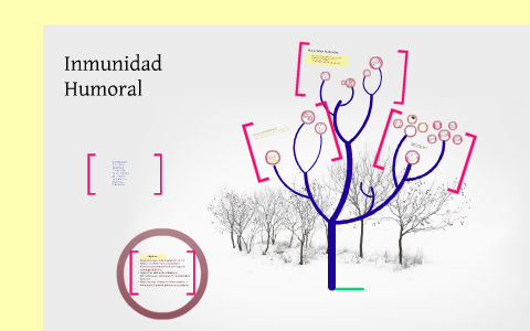 inmunidad humoral by eduardo borjas on Prezi
