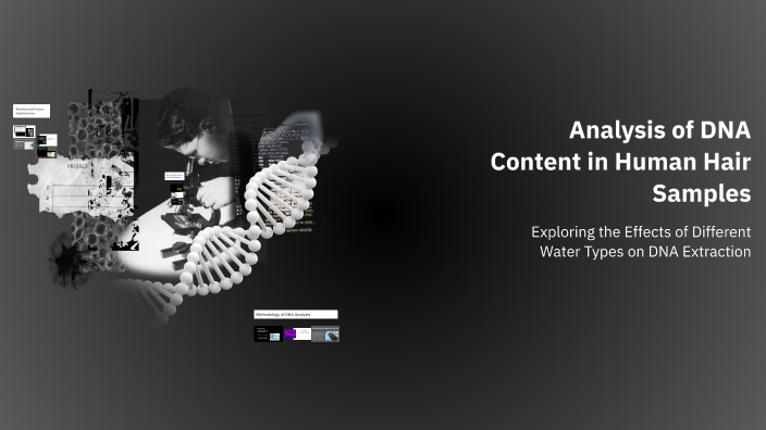 Analysis of DNA Content in Human Hair Samples by Neha Vishwakarma on Prezi