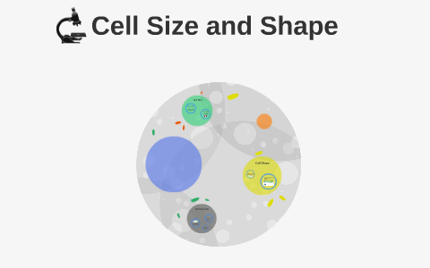 Cell Size and Shape by Eliz Oreo on Prezi