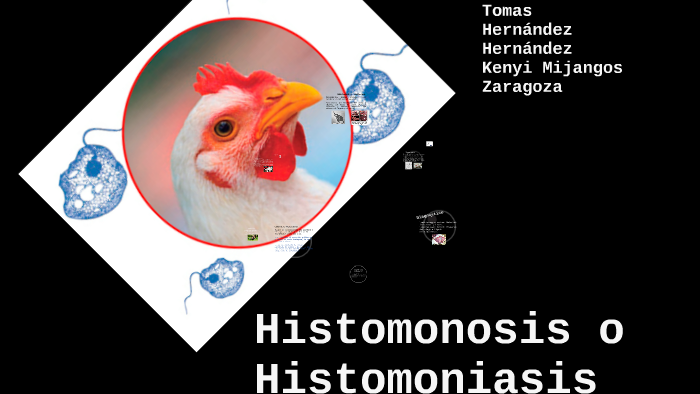 Histomoniasis by Tomas Hernandez on Prezi