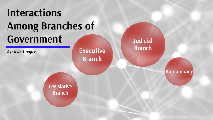 Interactions Among Branches of Government by Kyla Hooper