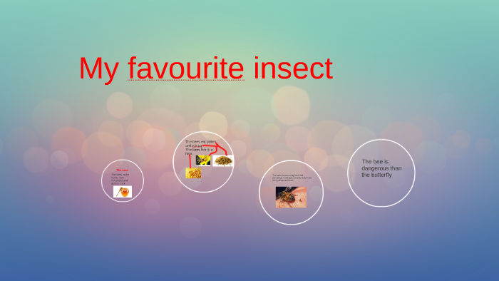 My favourite insect by Jairo Carrillo on Prezi