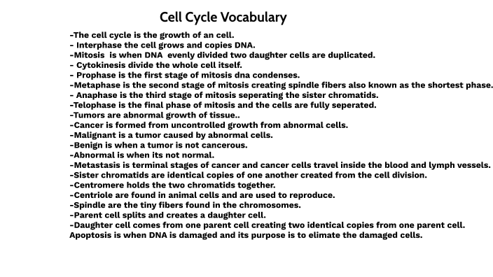 Cell Cycle Vocabulary by Kira Mckinley on Prezi