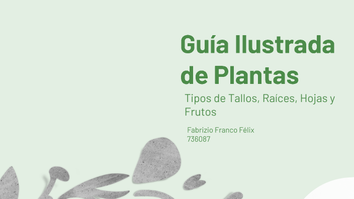 Guía Ilustrada de Plantas by Fabrizio Franco on Prezi