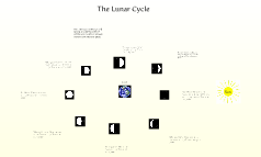 The Lunar Cycle by Maria Bill on Prezi