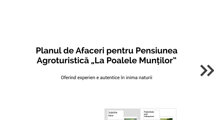 Planul de Afaceri pentru Pensiunea Agroturistică „La Poalele Munților ...