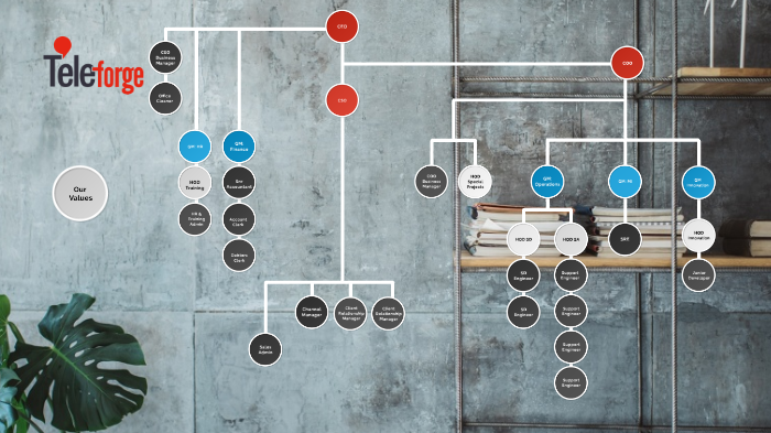 induction final organogram by Nadine Rusch on Prezi