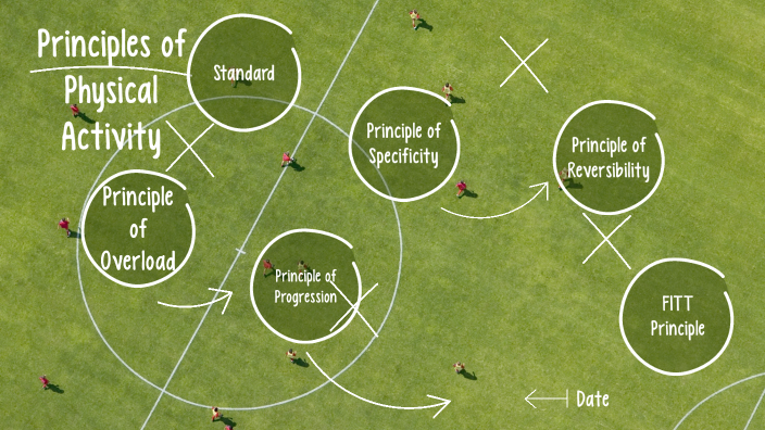 Principles of Physical Activity by Blair Neaderhiser on Prezi