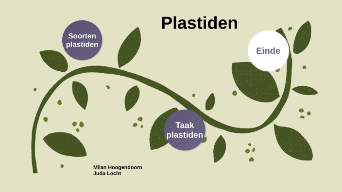 Plastiden by milan juda on Prezi