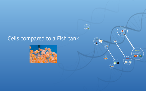 Cells compared to a Fish tank by madi parah on Prezi