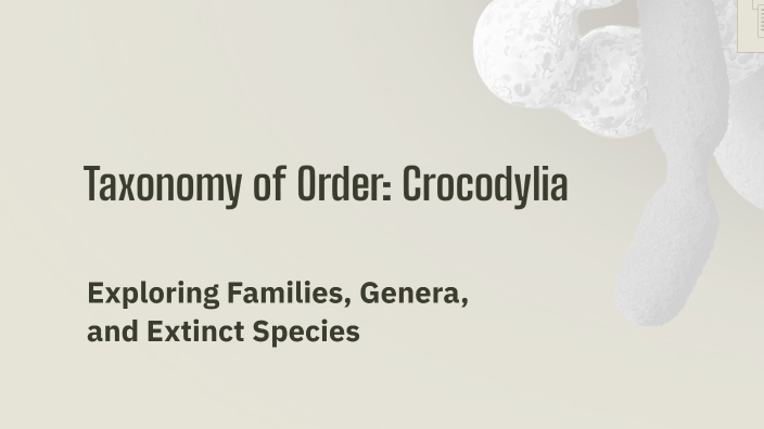 Taxonomy of Order: Crocodylia by Kaili Jaago on Prezi
