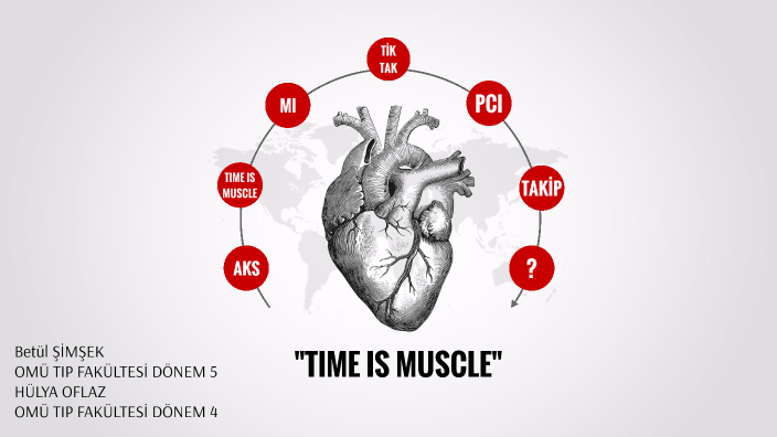 time is muscle by Betül Şimşek on Prezi