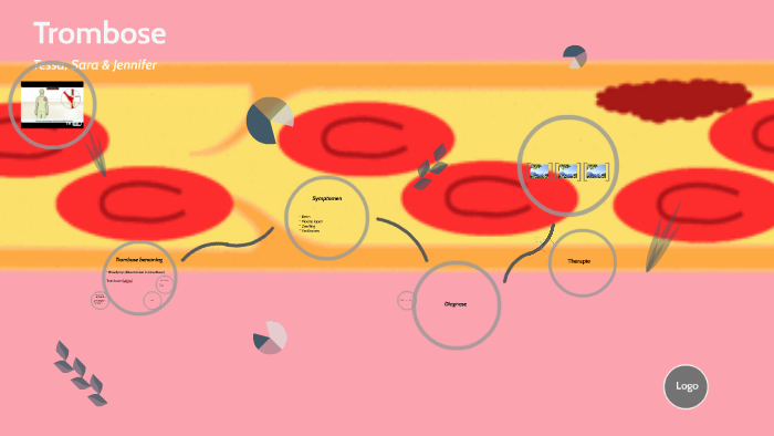 Anatomie/Fysiologie by Jenn Kweetniet on Prezi